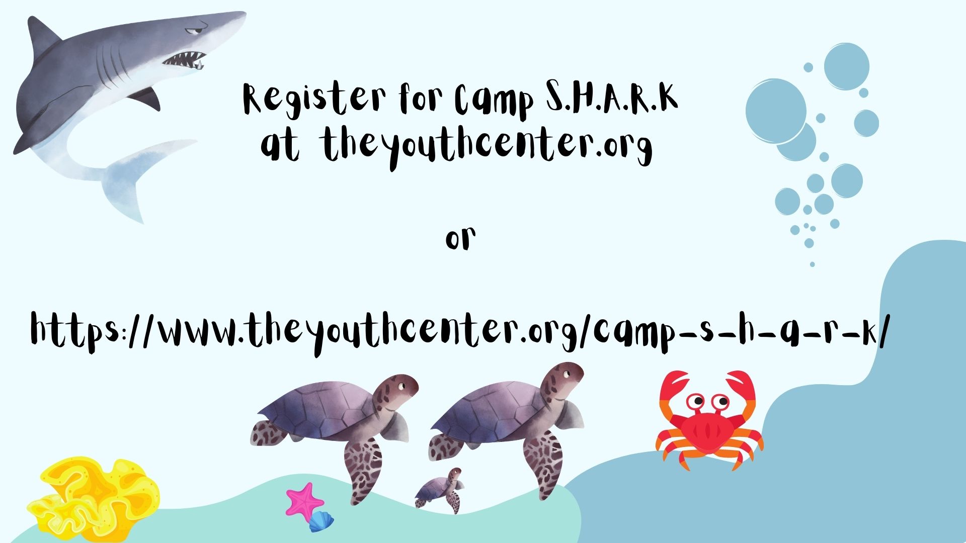 CAMP S.H.A.R.K. – Youth Center